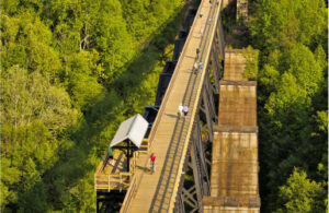 Farmville - Green Front